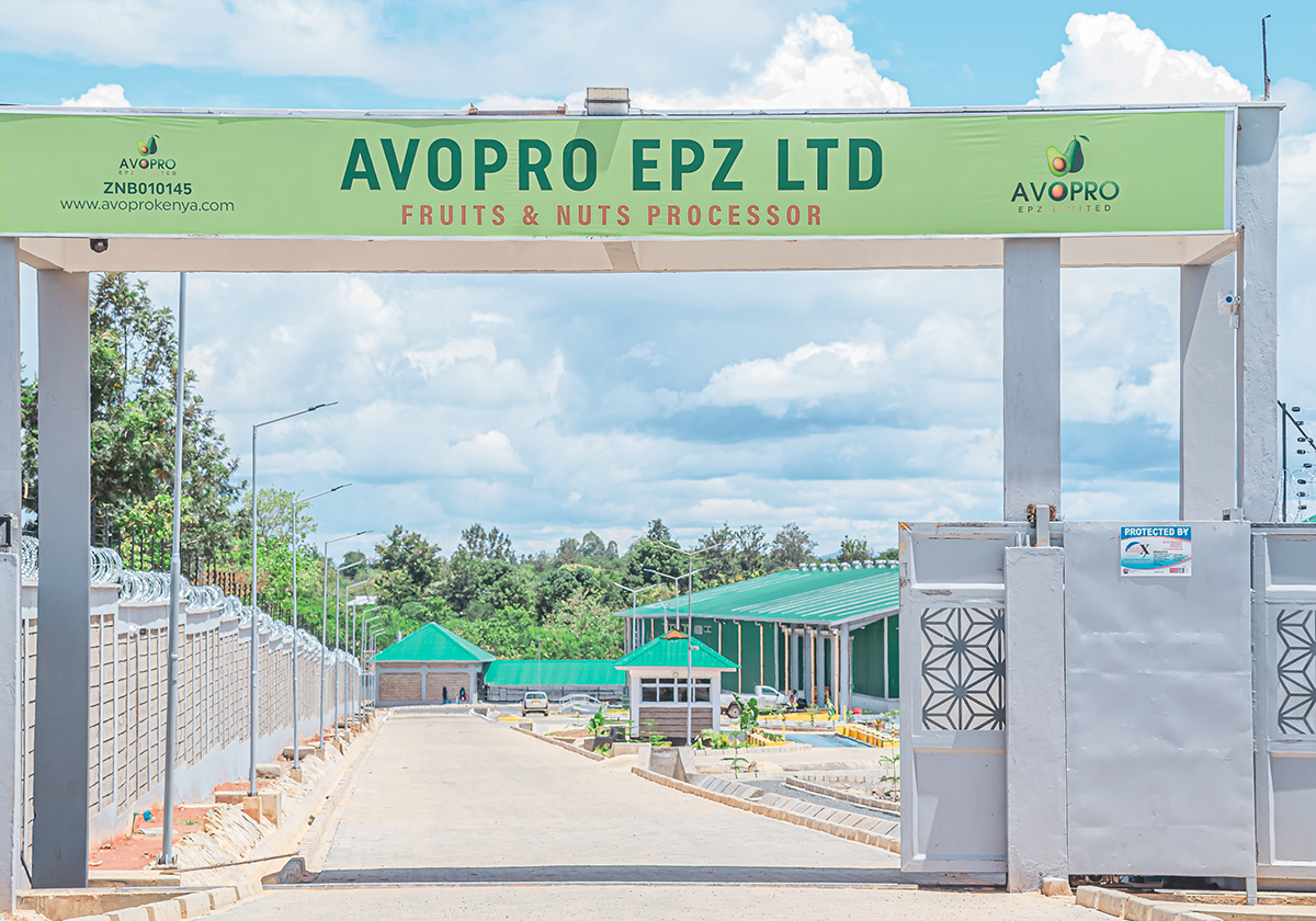 About Us - Avoprokenya